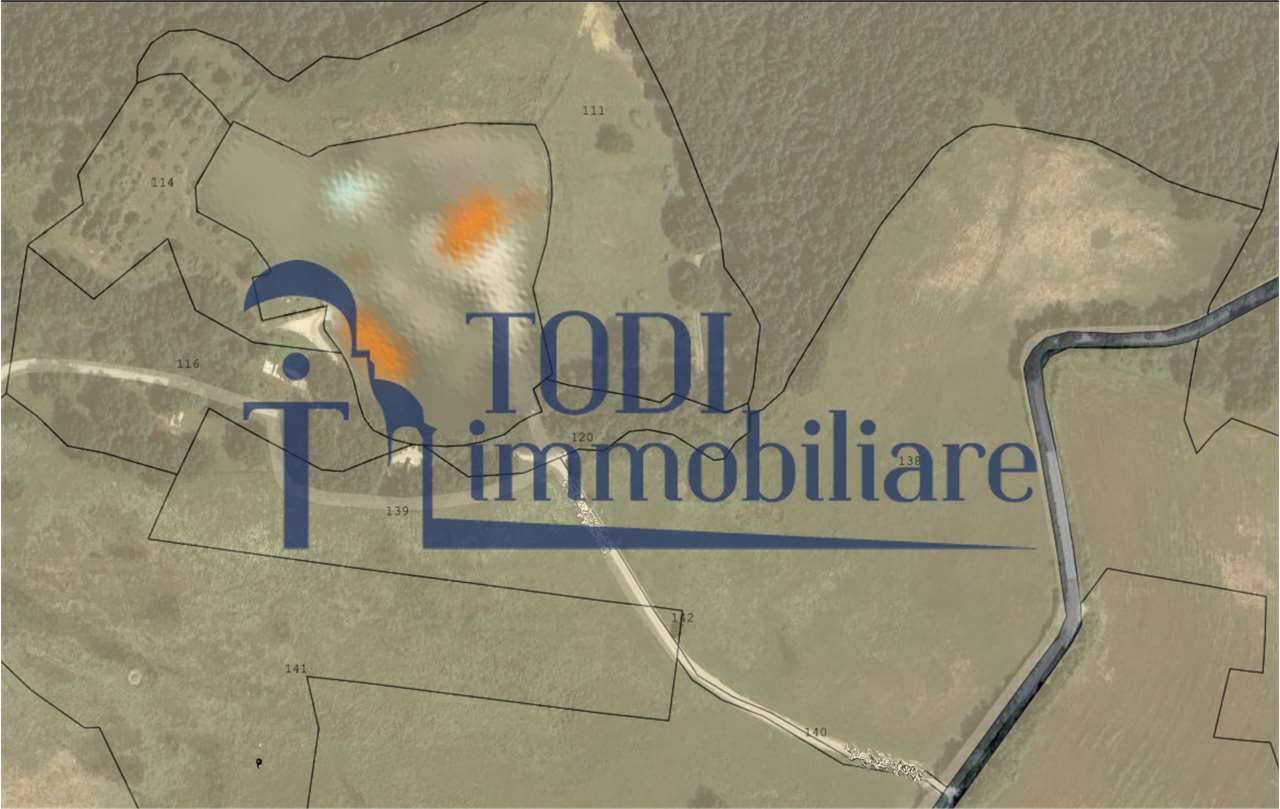 Terreno Agricolo Azienda Agricola in vendita a Monte Castello di Vibio ...